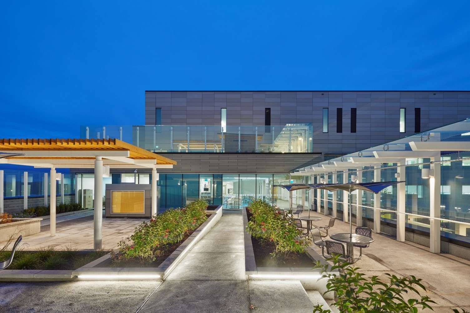 Featured Articles | Neuroarchitecture, Biomimicry & Natural ...